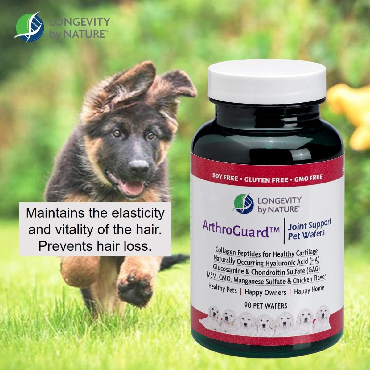 Longevity by Nature - ArthroGuard Joint Support Pet Wafers - 90 Wafers ...